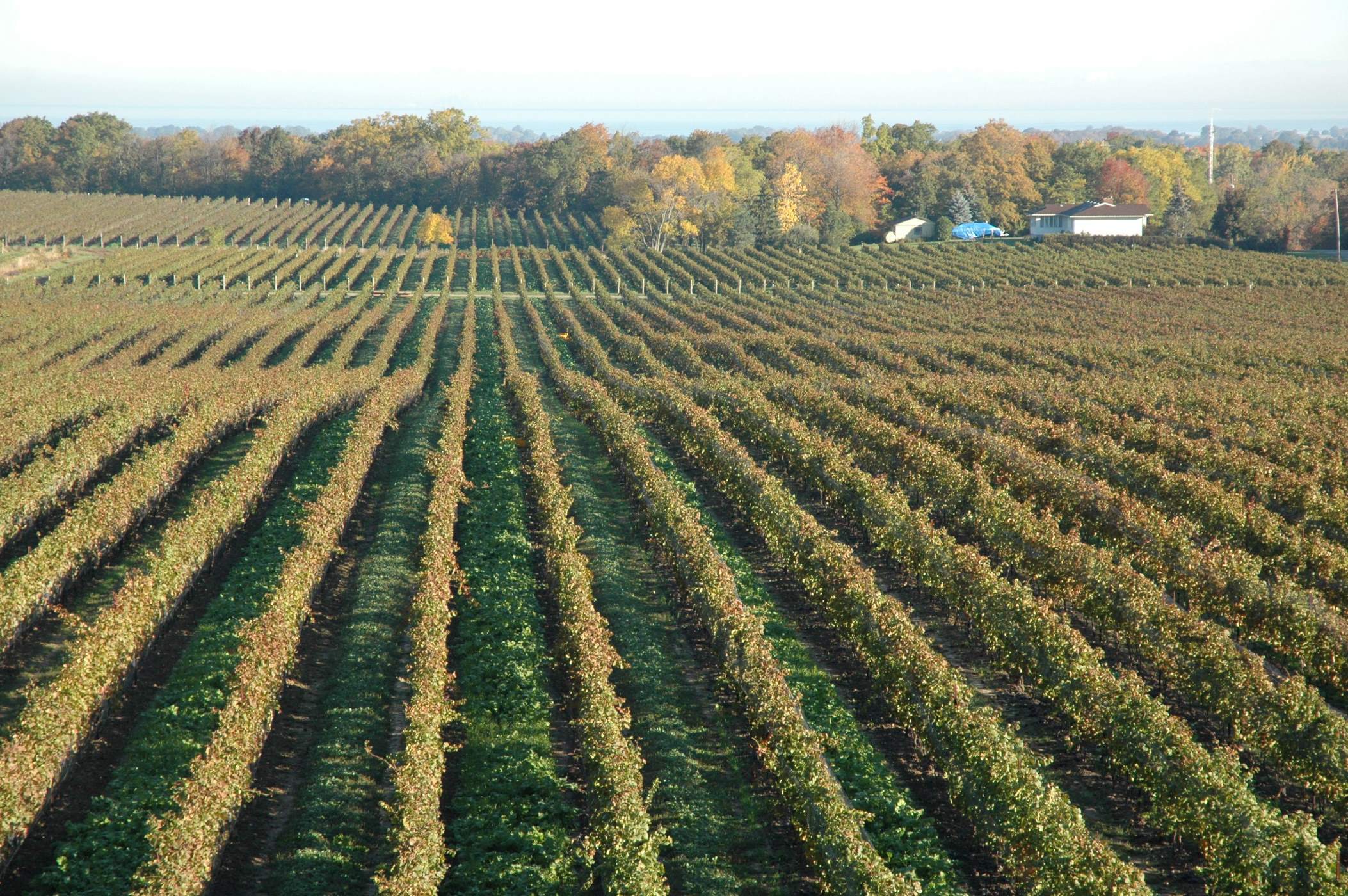 Niagara Irrigation | Canada Infrastructure Bank (CIB)