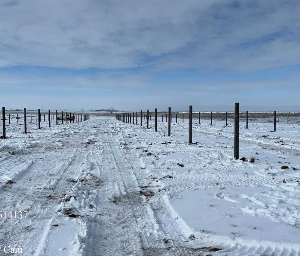 Tilley Solar | Canada Infrastructure Bank (CIB)